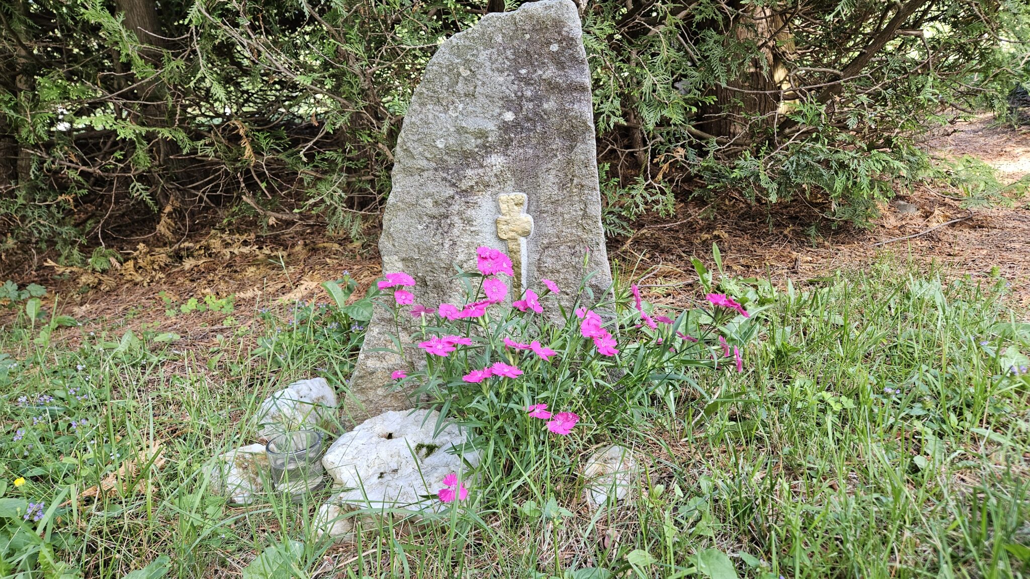 Le activités - Centre Tara