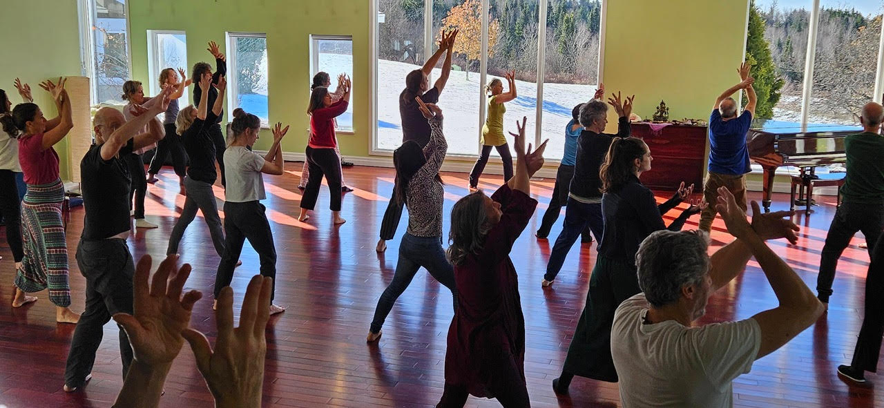 Le activités - Centre Tara