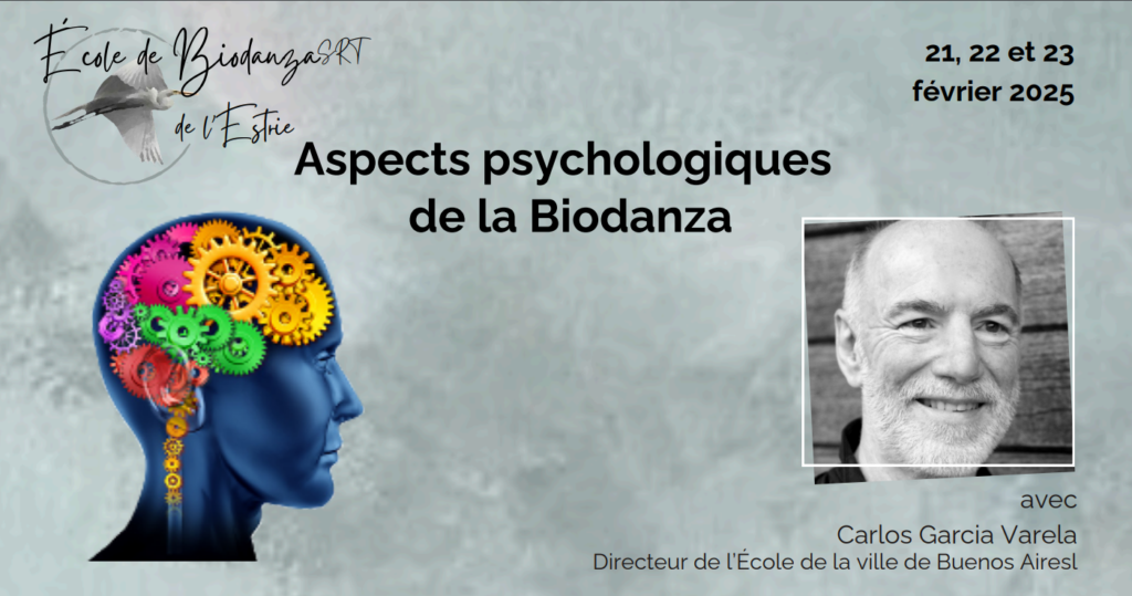 Le activités - Centre Tara